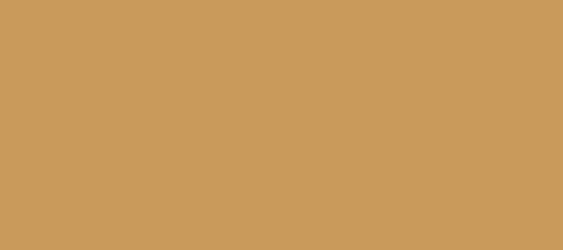 Beige / Tan Page 10 - SmardArt
